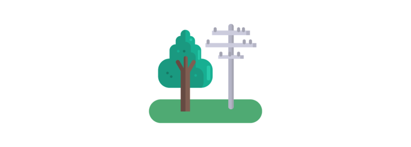 Tree and power line safety