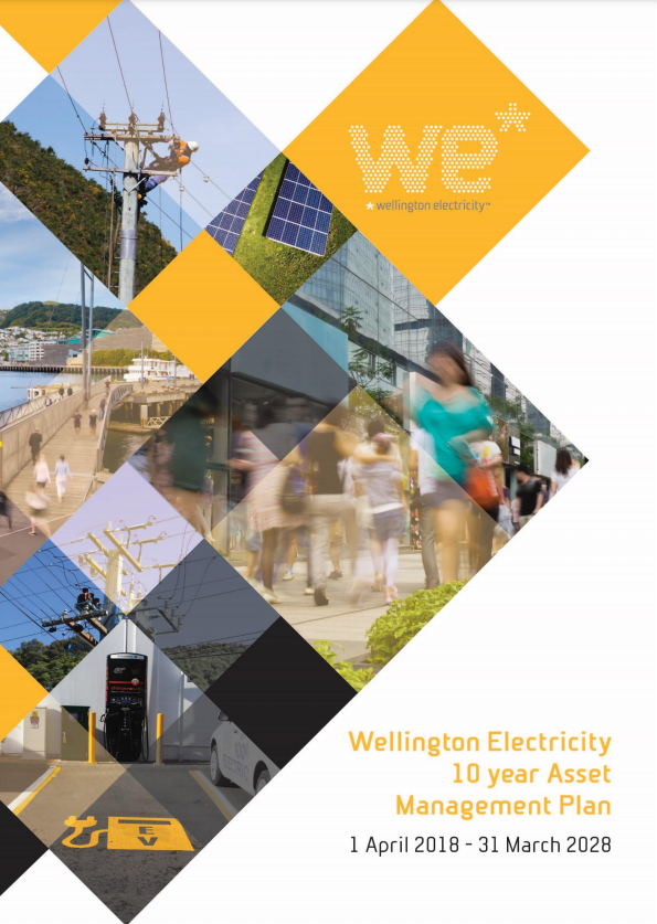 Asset Management Plan | Wellington Electricity